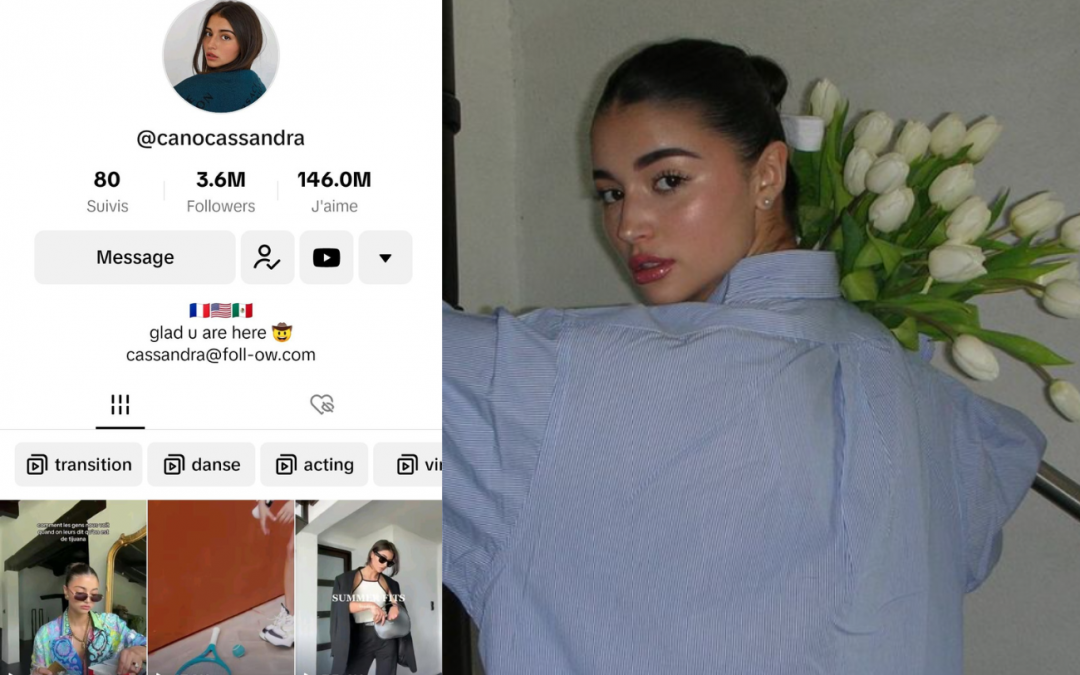 Cano Cassandra | TERRITORY Influence