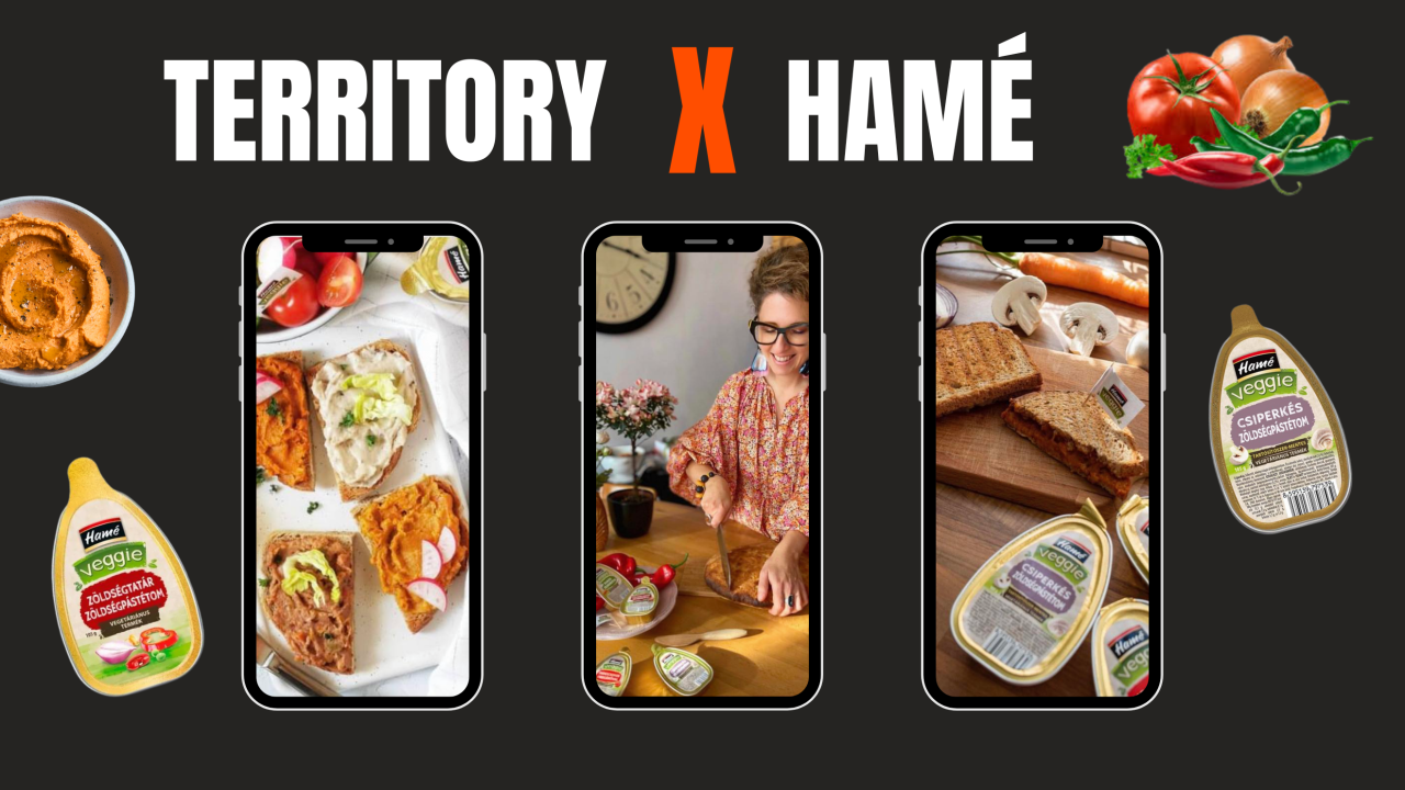 Nano & Micro Influencers for Hamé | TERRITORY Influence