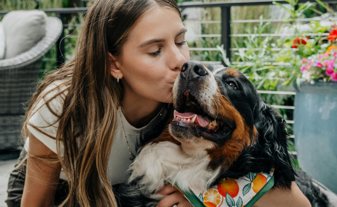 The Rise Of Pet Influencers: Trends, Tips And Cases – TERRITORY Influence